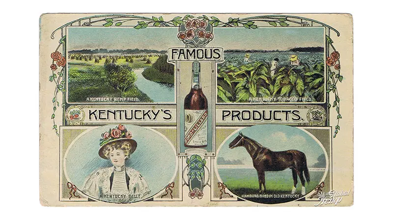 GLOBAL HEMP® – Kentucky's Famous Products Postcard